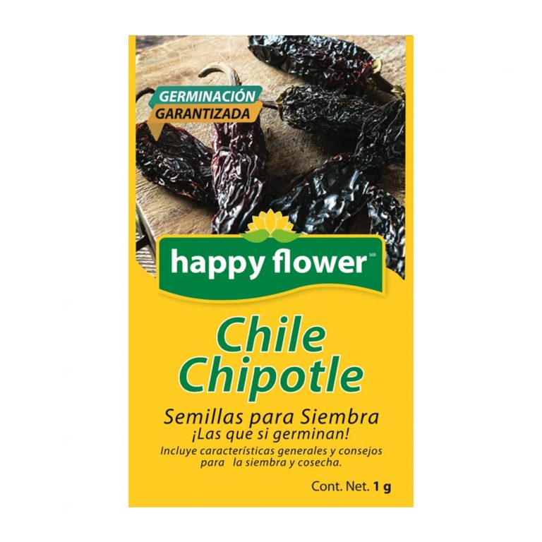 ¿Cómo Cultivar Chiles Jalapeños? | Consejos Happy Flower