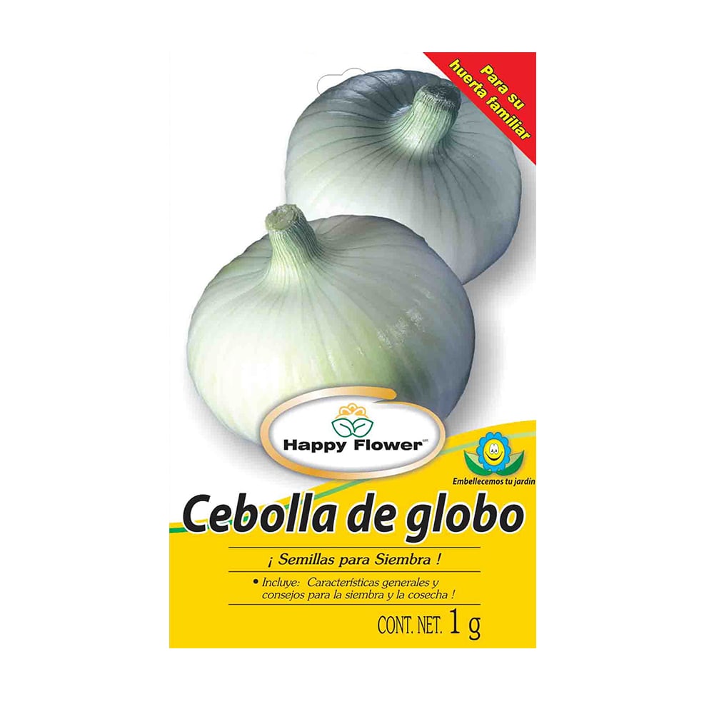 Cebolla de Globo – Happy Flower