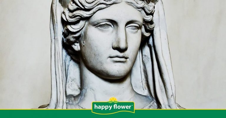 Mitología griega: Perséfone y el mito de la Primavera | Consejos Happy ...