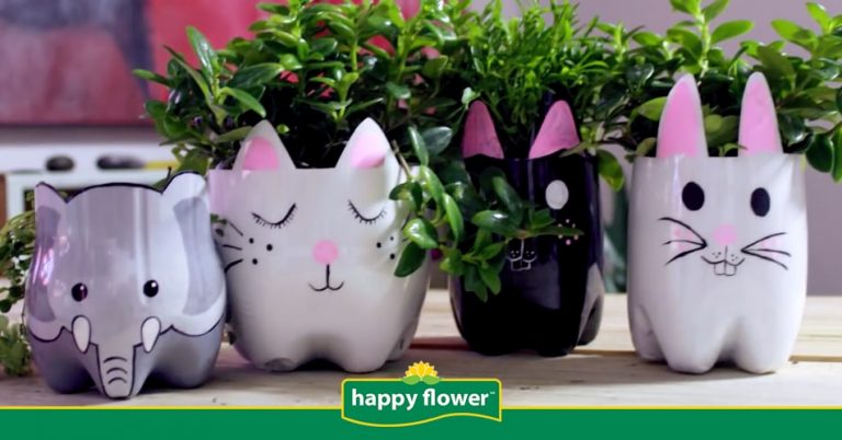 Macetas con Botellas Plásticas | Consejos Happy Flower