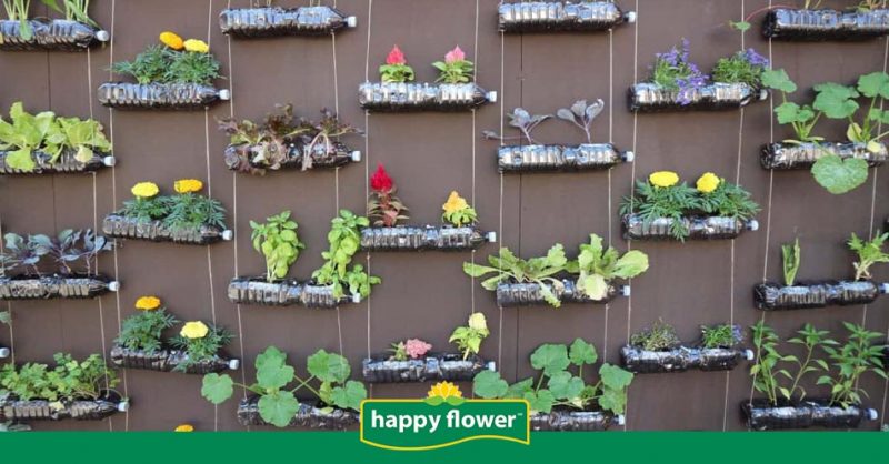¿Cómo Hacer un Huerto Vertical? | Consejos Happy Flower