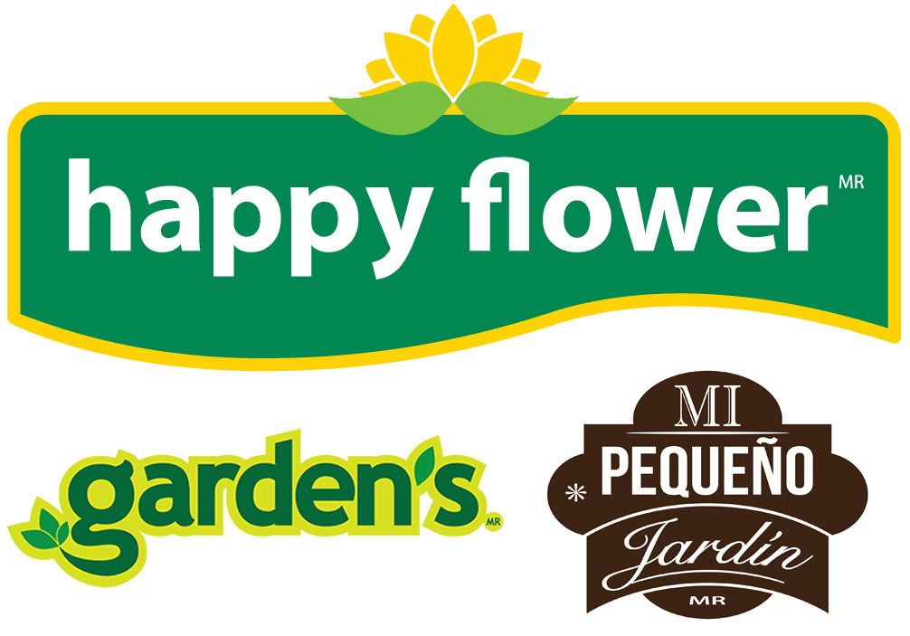 Cómo crear un vivero en tu hogar: guía práctica para empezar desde cero ...