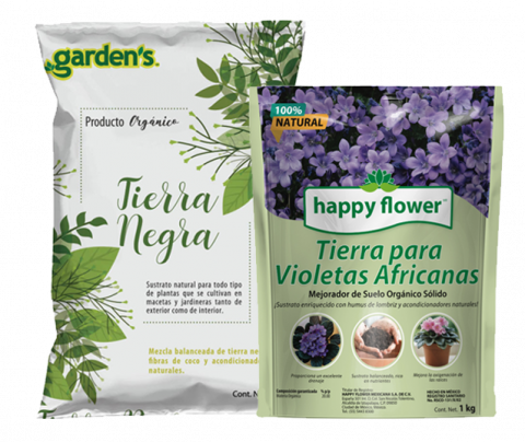 10 tipos de jardín y sus características | Consejos Happy Flower